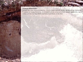 about acrosol soil in africa sub continent | PPT