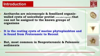 Acritarch-21-3-16.ppt