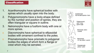 Acritarch-21-3-16.ppt
