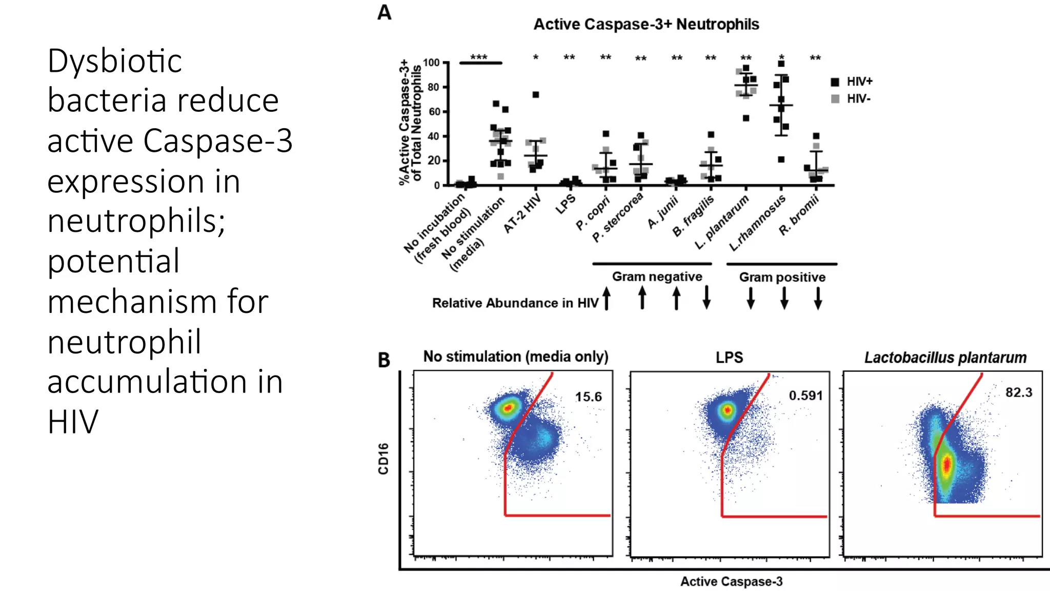 Microbial Interactions Impacting Inflammation and Pharmacomicrobiomics ...