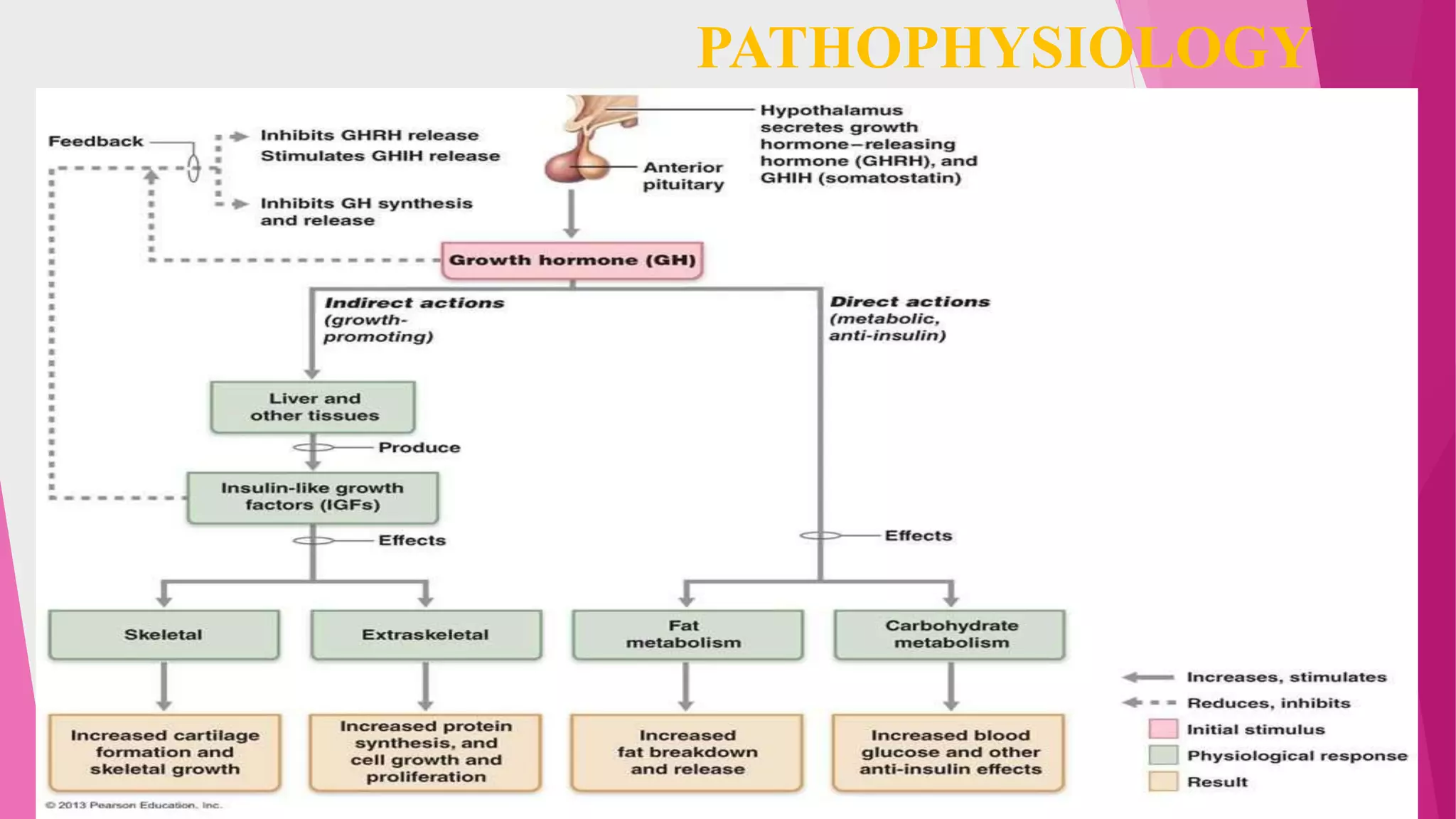Acromegaly | PPTX