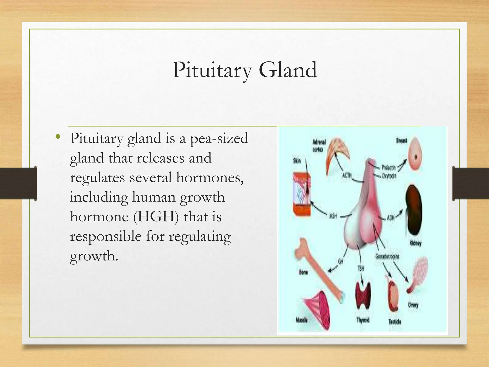 Acromegaly description causes treatment. | PPTX