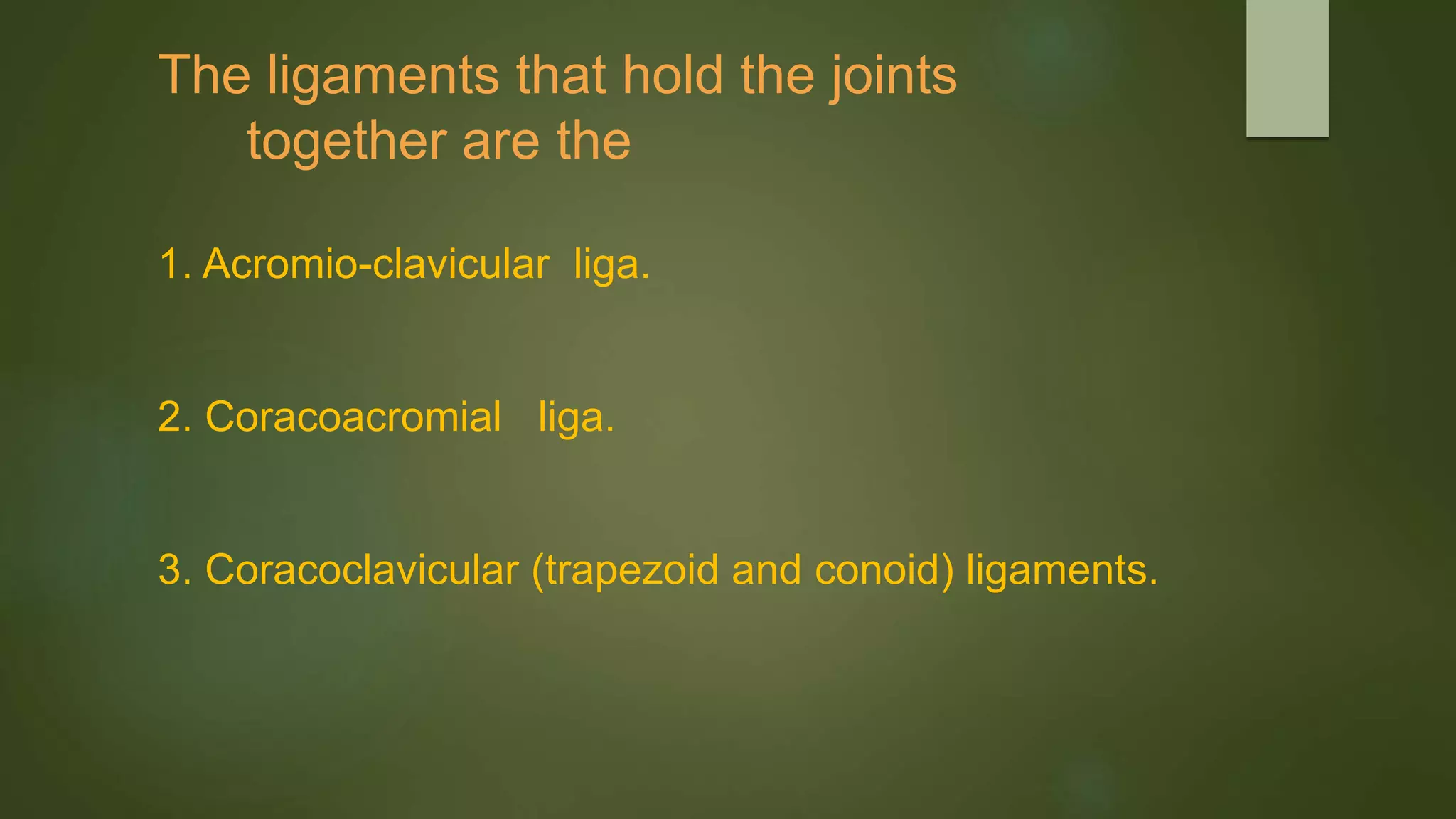 Acromio clavicular joint injury | PPTX