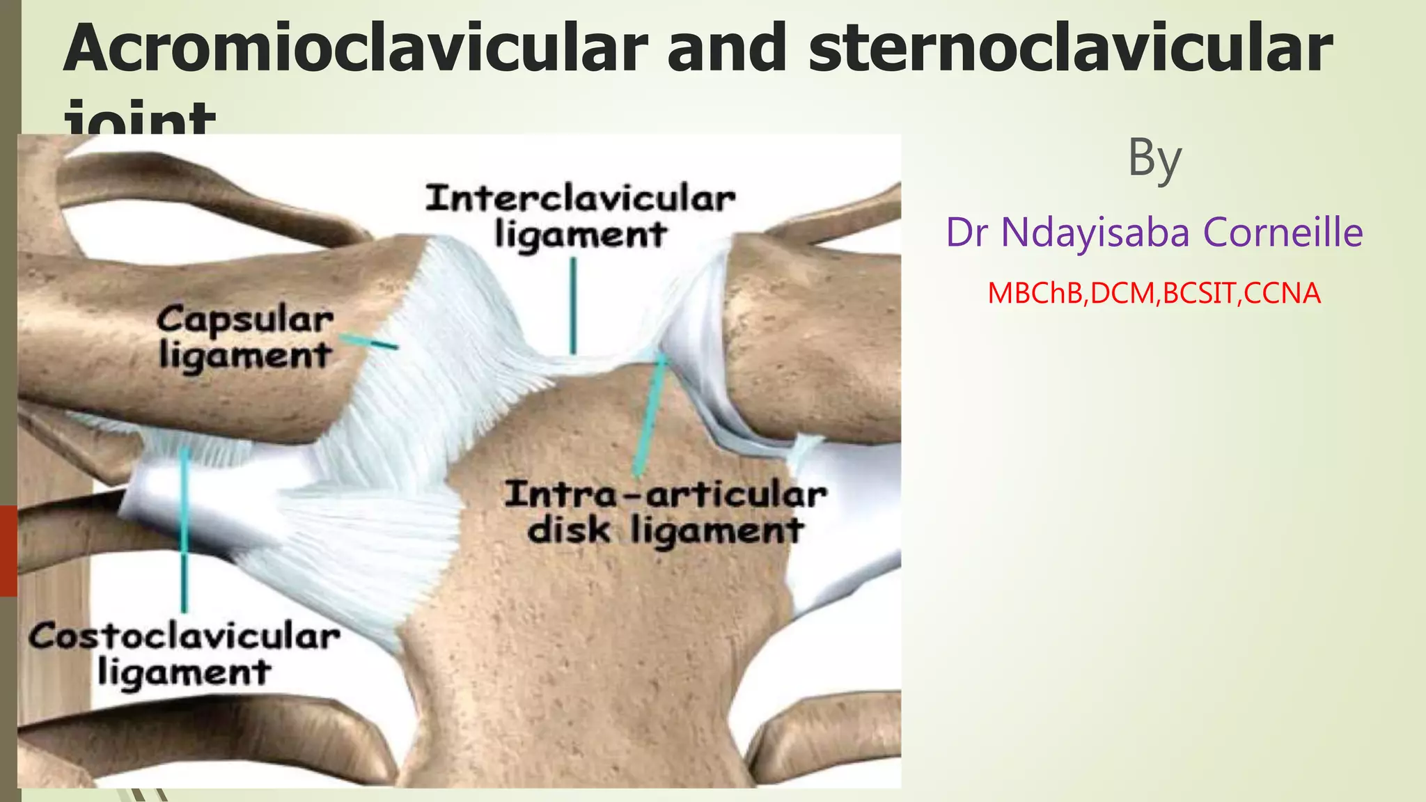 Acromioclavicular and sternoclavicular joint | PPTX