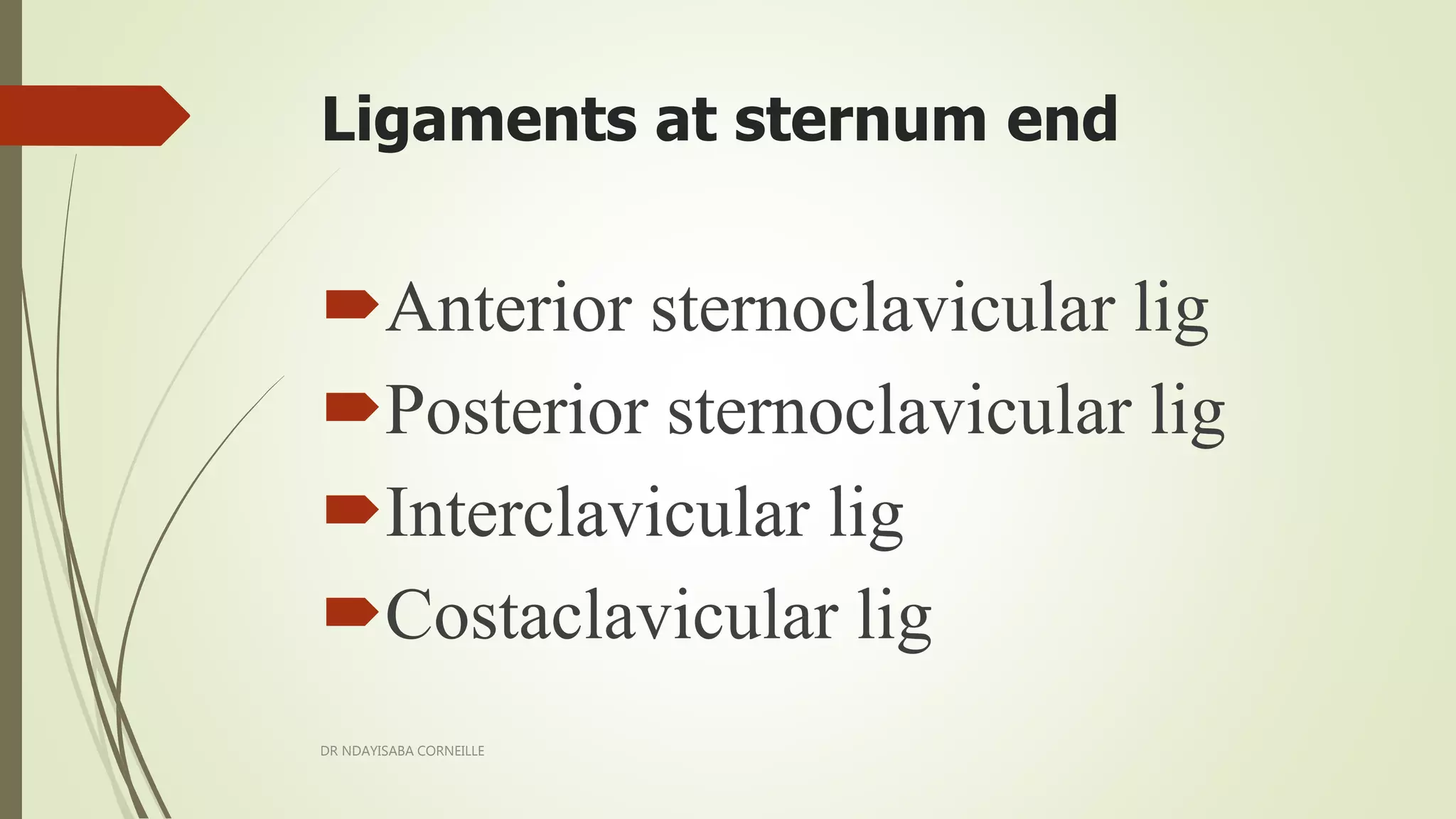 Acromioclavicular and sternoclavicular joint | PPTX