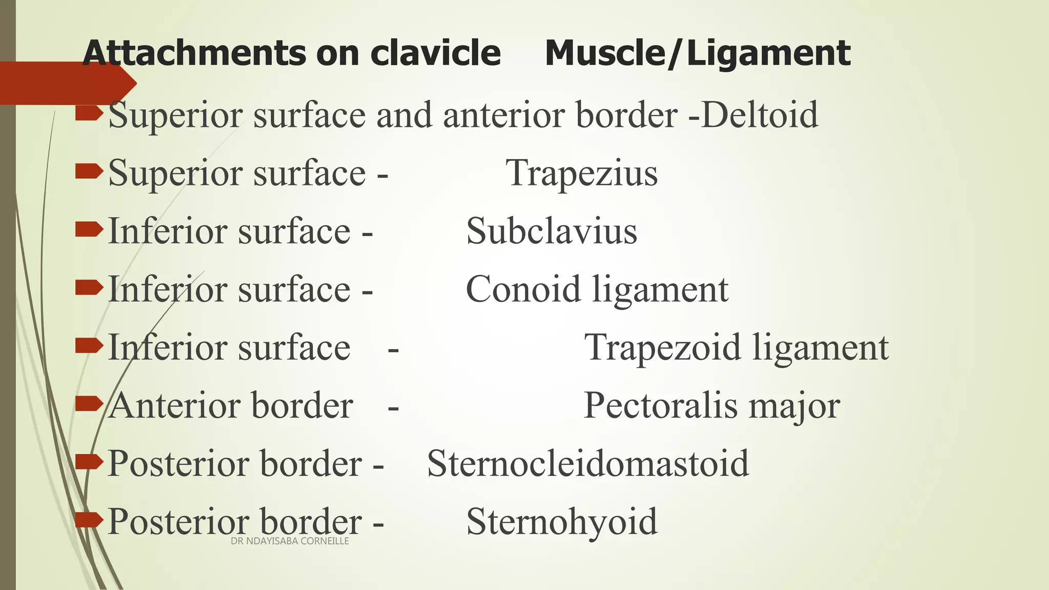 Acromioclavicular and sternoclavicular joint | PPTX