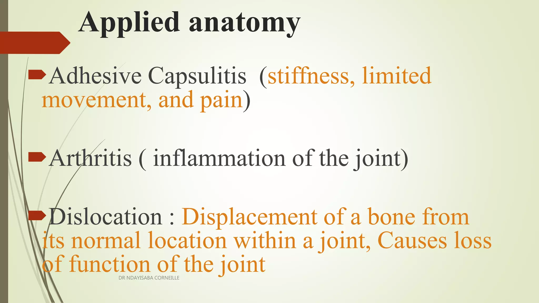 Acromioclavicular and sternoclavicular joint | PPTX