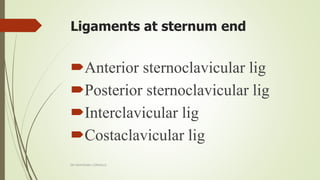 Acromioclavicular and sternoclavicular joint | PPTX