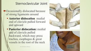 Acromioclavicular and sternoclavicular joint | PPTX
