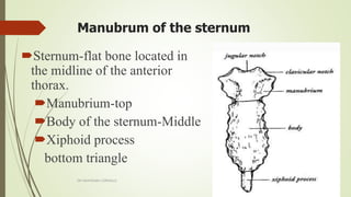 Acromioclavicular and sternoclavicular joint | PPTX