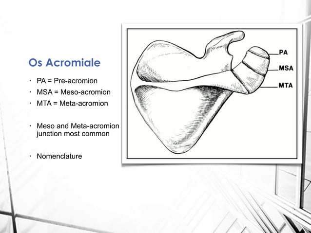Acromion - Os-acromiale Fractures and Insufficiency