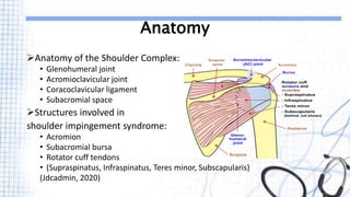 Open Acromioplasty Corrects shoulder impingement syndrome1.pptx | Death, Injury, or Military ...