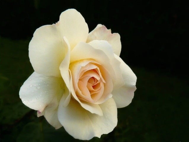 Acropolis adieu mireille mathieu | PPT