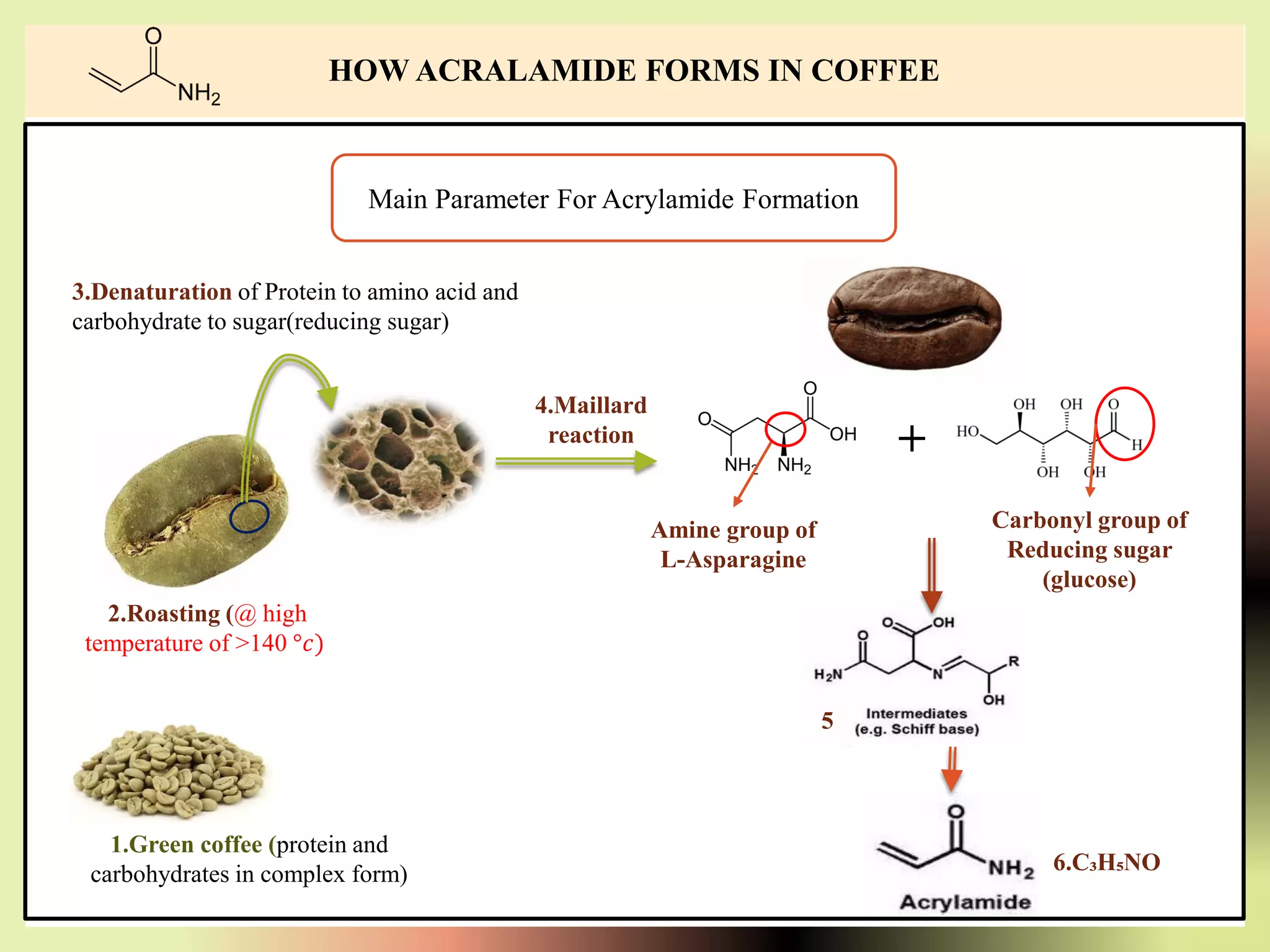 Acrylamide | PDF