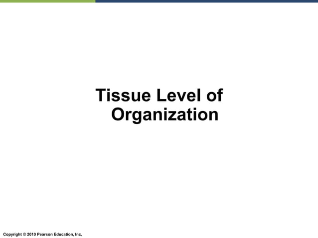 ACS-1 - Tissue Level of Organization.ppt
