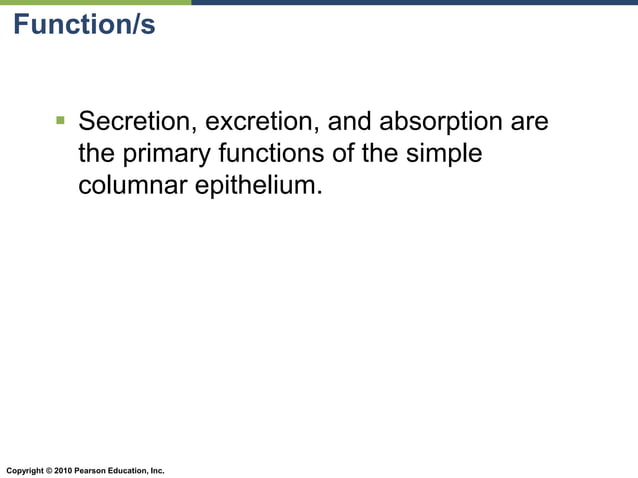 ACS-1 - Tissue Level of Organization.ppt