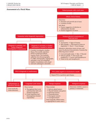 Acs0203 Neck Mass | PDF