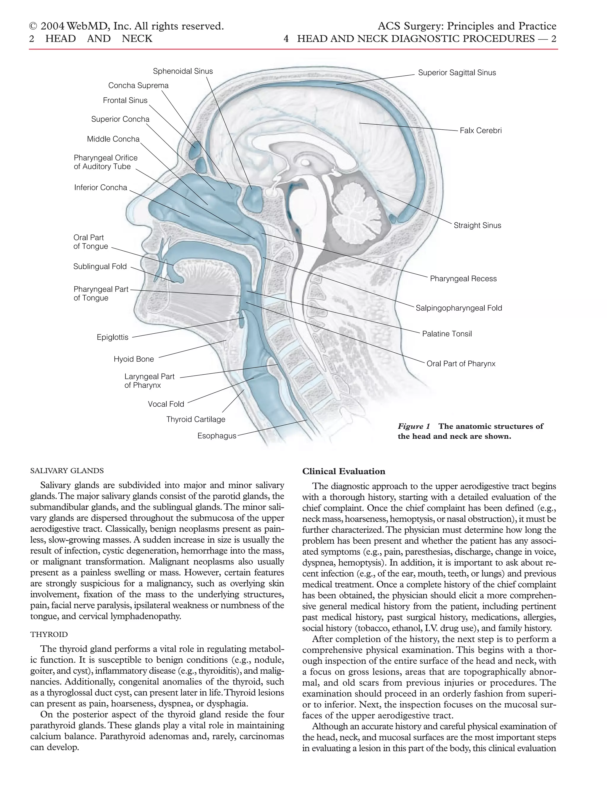 Acs0204 Head And Neck Diagnostic Procedures | PDF