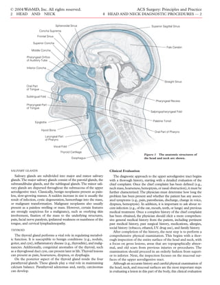 Acs0204 Head And Neck Diagnostic Procedures | PDF
