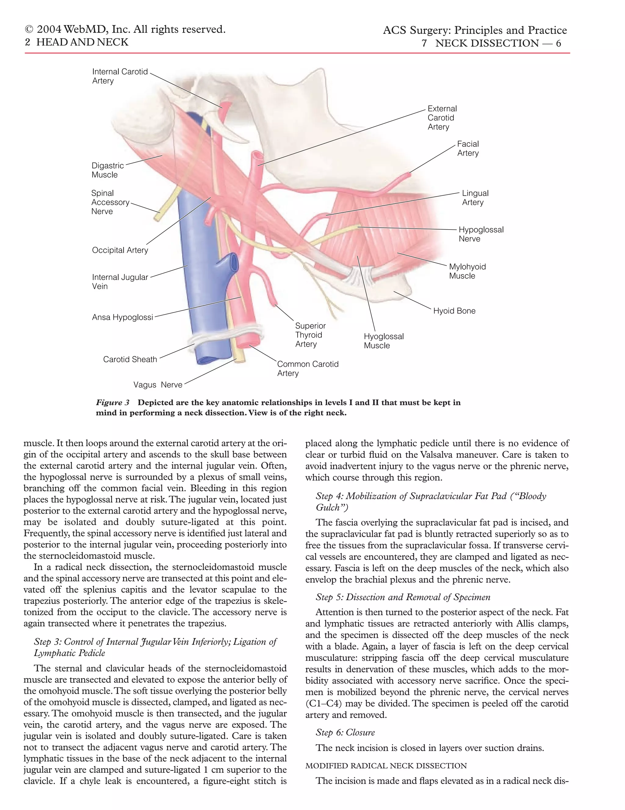 Acs0207 Neck Dissection | PDF