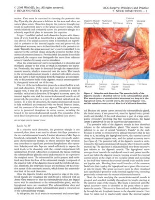 Acs0207 Neck Dissection | PDF
