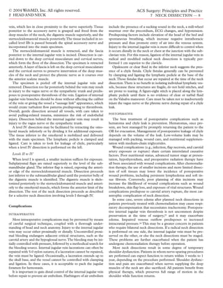 Acs0207 Neck Dissection | PDF