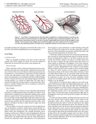 Acs0307 Surface Reconstructive Procedure | PDF