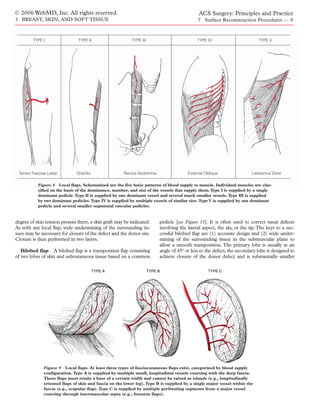 Acs0307 Surface Reconstructive Procedure | PDF