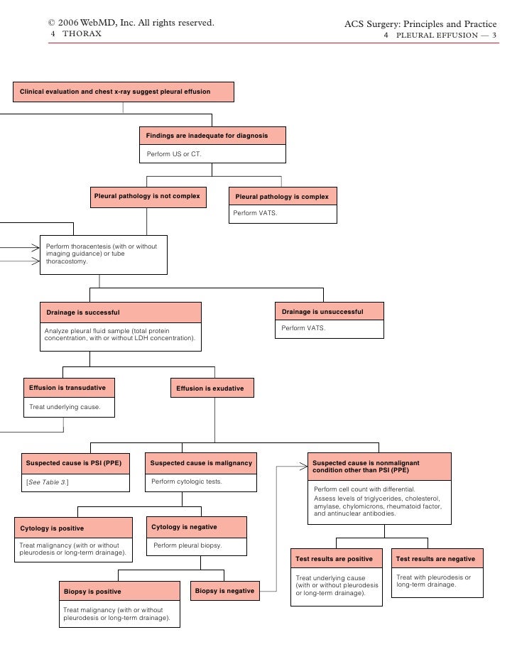 Acs0404 Pleural Effusion