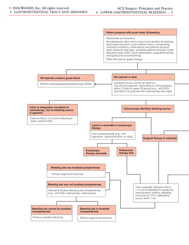 Acs0506 Lower Gastrointestinal Bleeding 2006 | PDF | Digestive ...