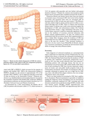 Acs0515 Adenocarcinoma Of The Colon And Rectum 2005 | PDF