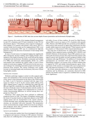 Acs0515 Adenocarcinoma Of The Colon And Rectum 2005 | PDF