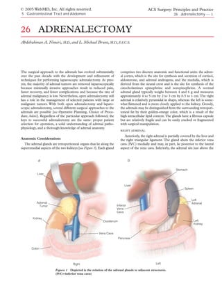 Acs0526 Adrenalectomy 2005 | PDF