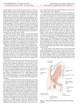 Acs0527 Open Repair Of Abdominal Wall Hernia 2007 | PDF