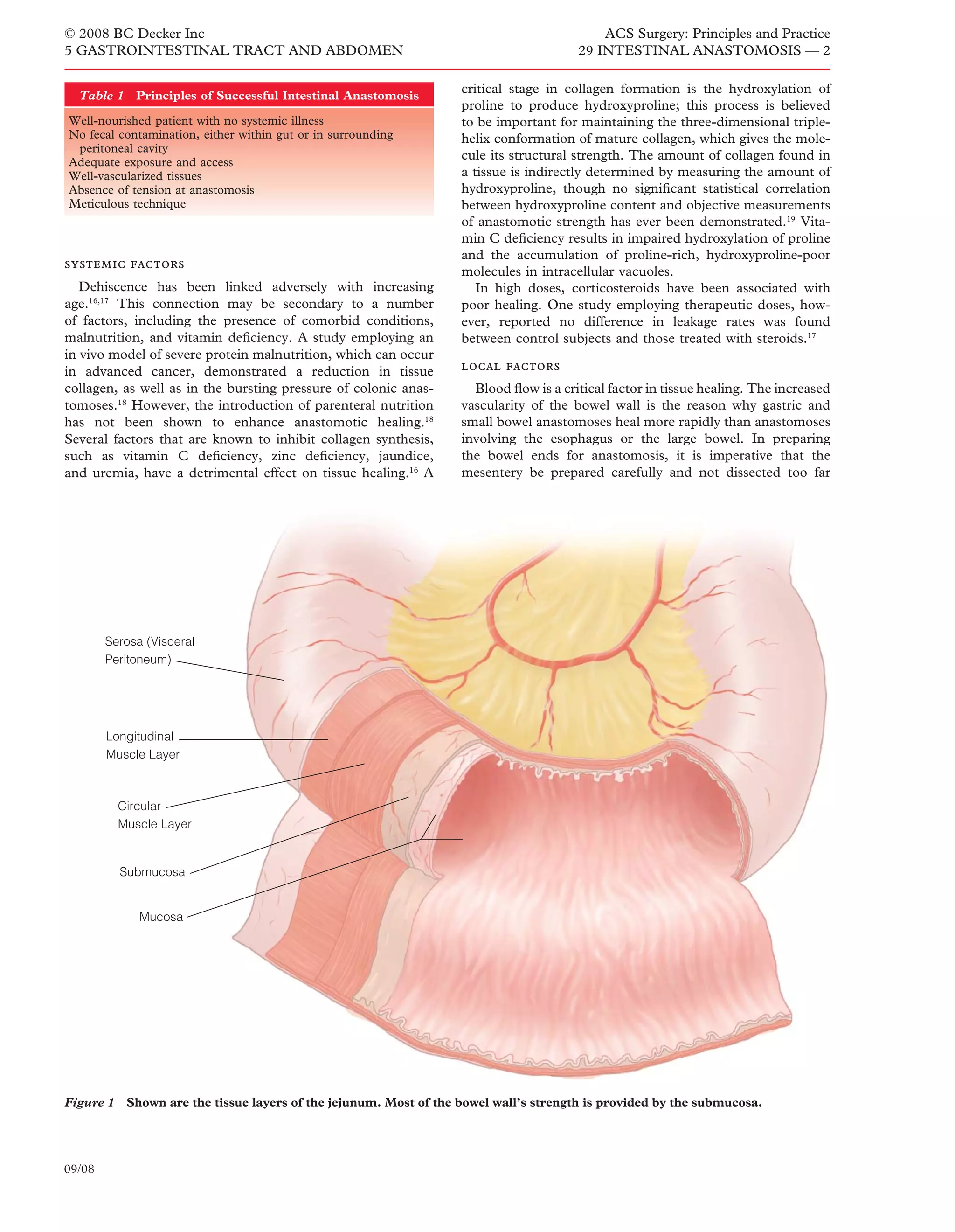 Acs0529 Intestinal Anastomosis 2008 | PDF | Digestive Disorders ...