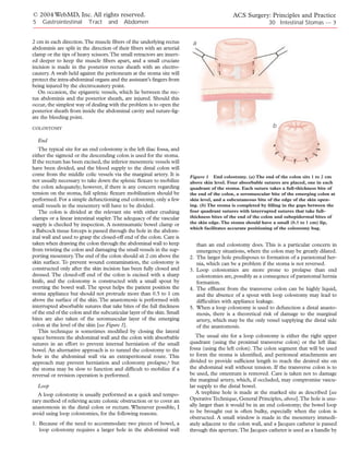 Acs0530 Intestinal Stomas 2004 | PDF