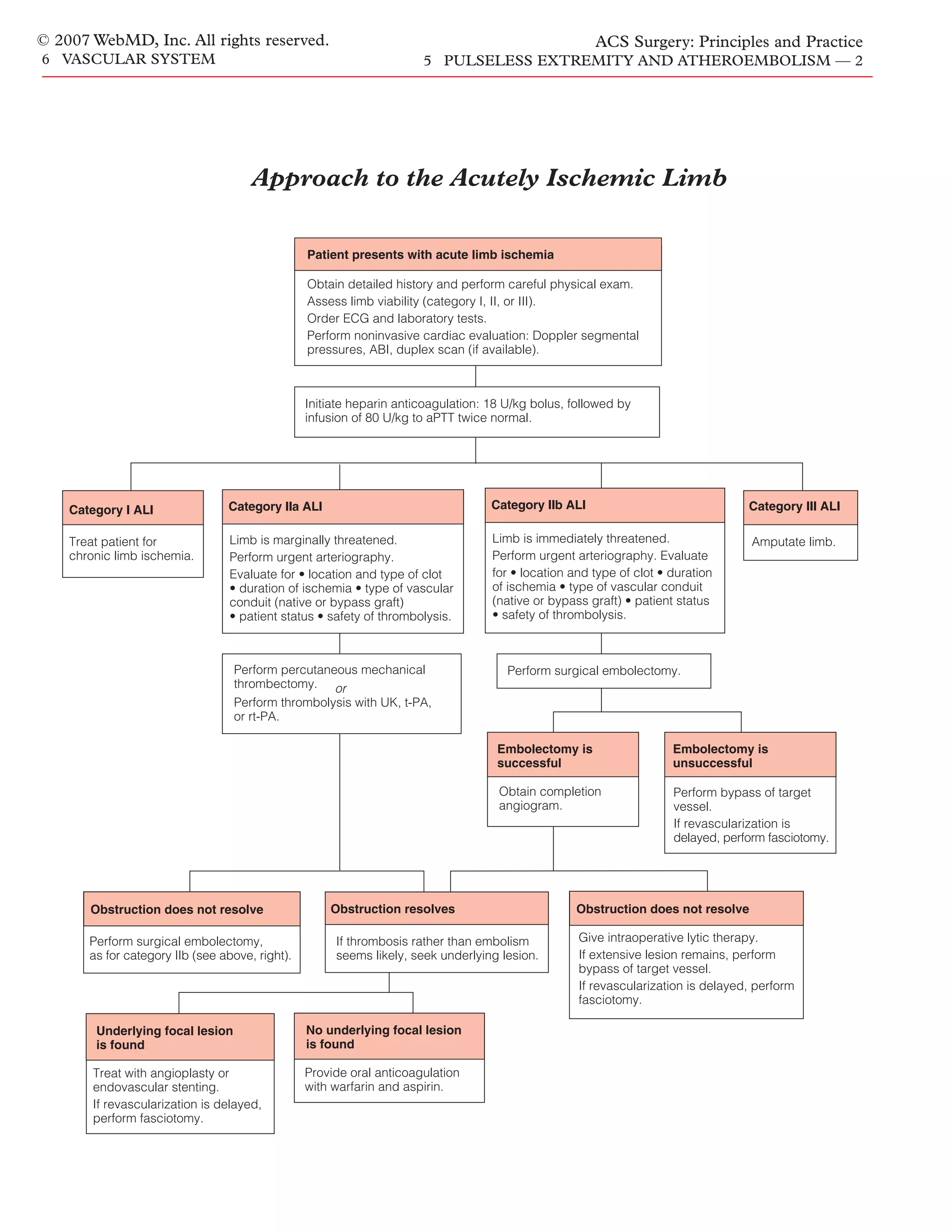 Acs0605 Pulseless Extremity And Atheroembolism | PDF