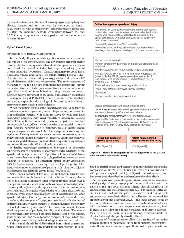 Acs0702 Injuries To The Central Nervous System | PDF | First Aid | Injuries