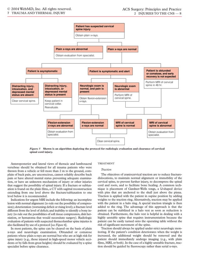 Acs0702 Injuries To The Central Nervous System | PDF | First Aid | Injuries