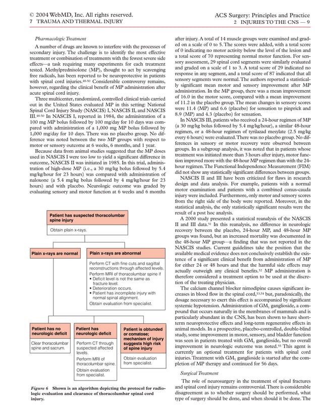 Acs0702 Injuries To The Central Nervous System | PDF | First Aid | Injuries