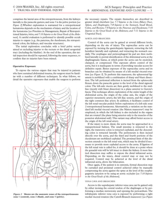 Acs0706 Operative Exposure Of Abdominal Injuries And Closure Of The ...