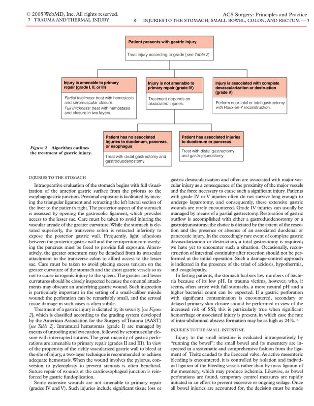 Acs0708 Injuries To The Stomach, Small Bowel, Colon, And Rectum | PDF