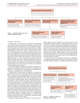 Acs0708 Injuries To The Stomach, Small Bowel, Colon, And Rectum | PDF
