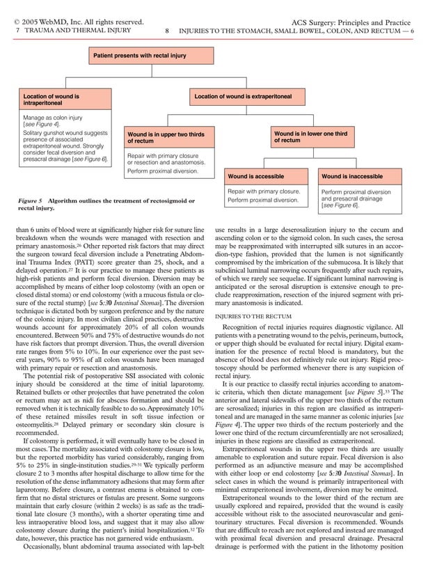 Acs0708 Injuries To The Stomach, Small Bowel, Colon, And Rectum | PDF