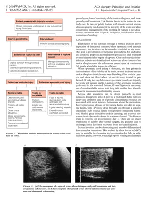 Acs0711 Injuries To The Urogenital Tract | PDF