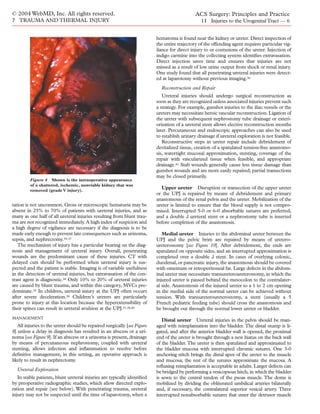Acs0711 Injuries To The Urogenital Tract | PDF