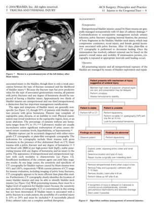 Acs0711 Injuries To The Urogenital Tract | PDF