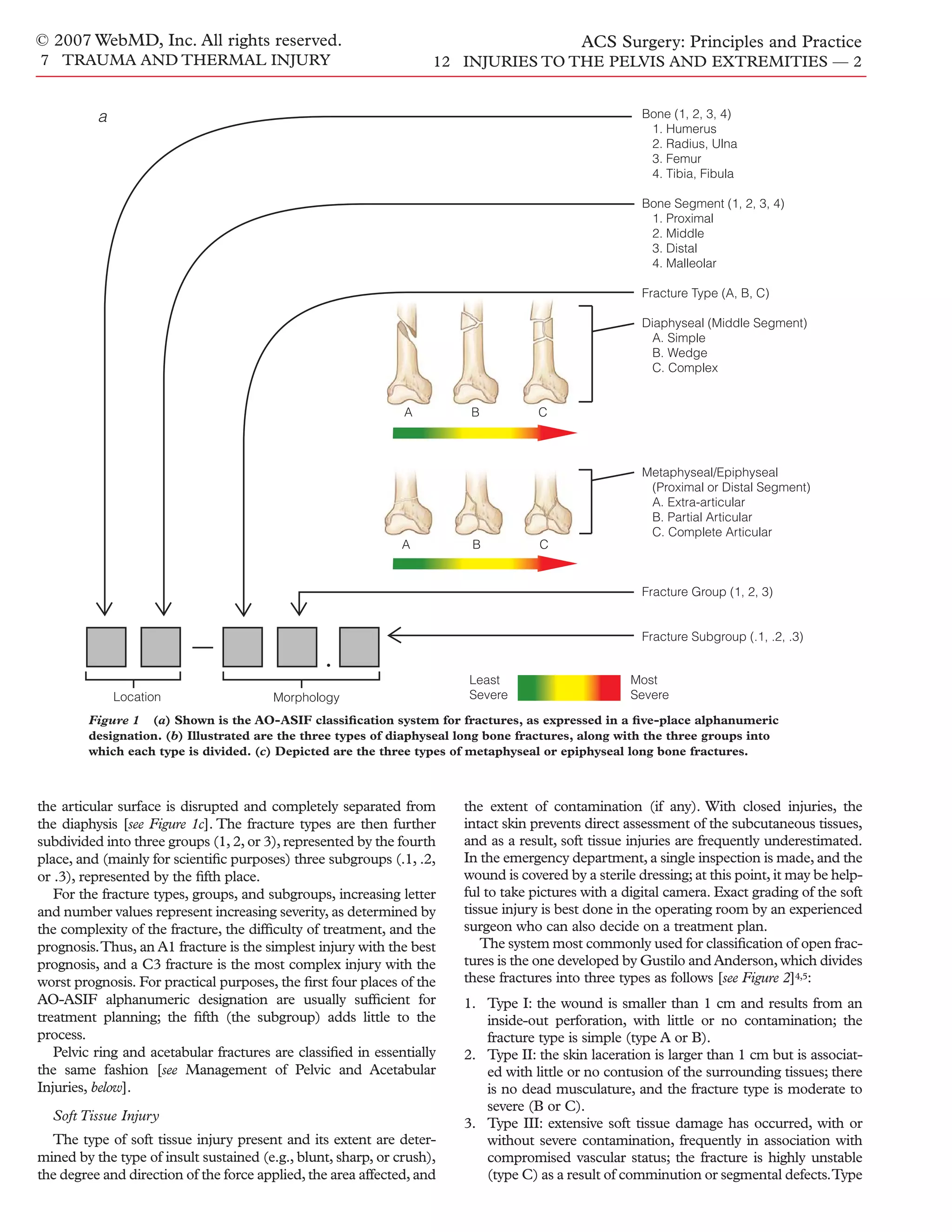 Acs0712 Injuries To The Pelvis And Extremities | PDF