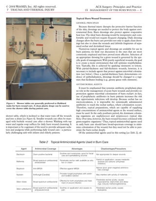 Acs0715 Management Of The Burn Wound | PDF | Skin and Dermatology ...