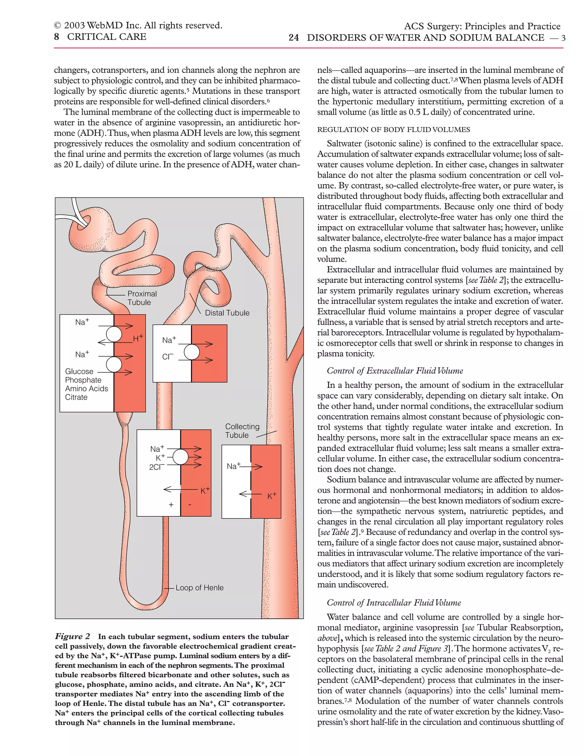 Acs0824 Disorders Of Water And Sodium Balance | PDF